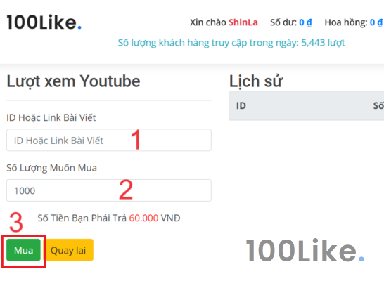 10 cách câu View Youtube hiệu quả, kích thích người xem - 100Like